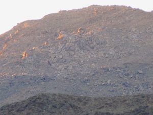 Rockhounding Around Trona, California – Scott's Rock & Gem